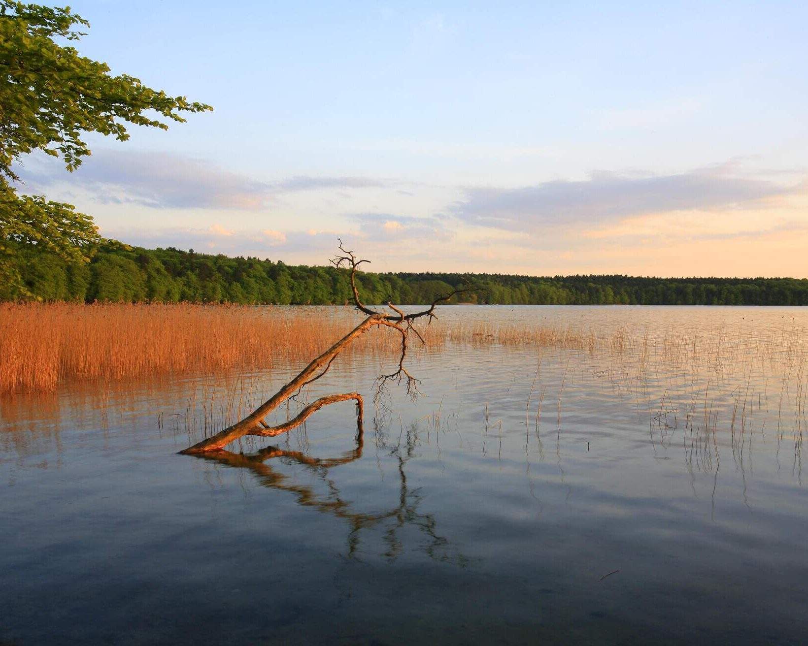 Die 20 schönsten Seen rund um Berlin | momondo