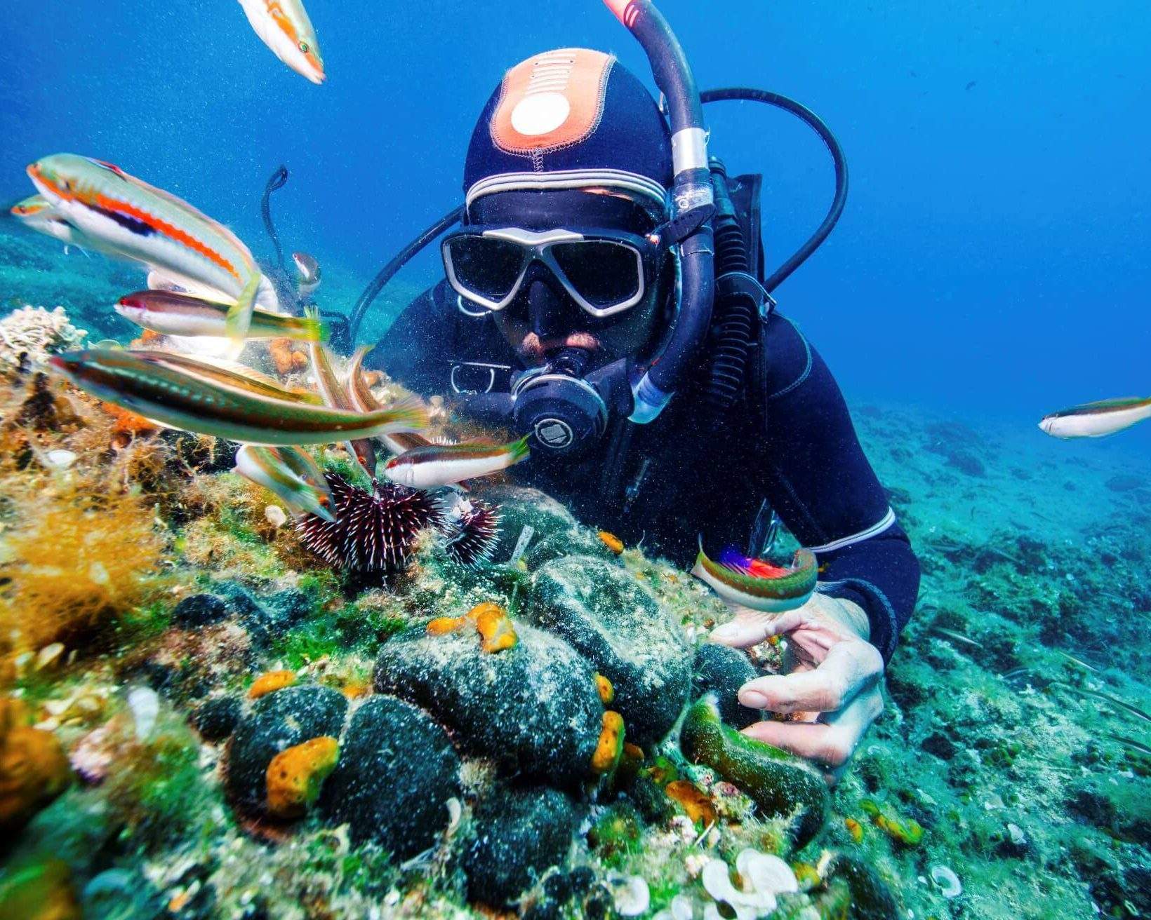 Tauchen in Kroatien | momondo