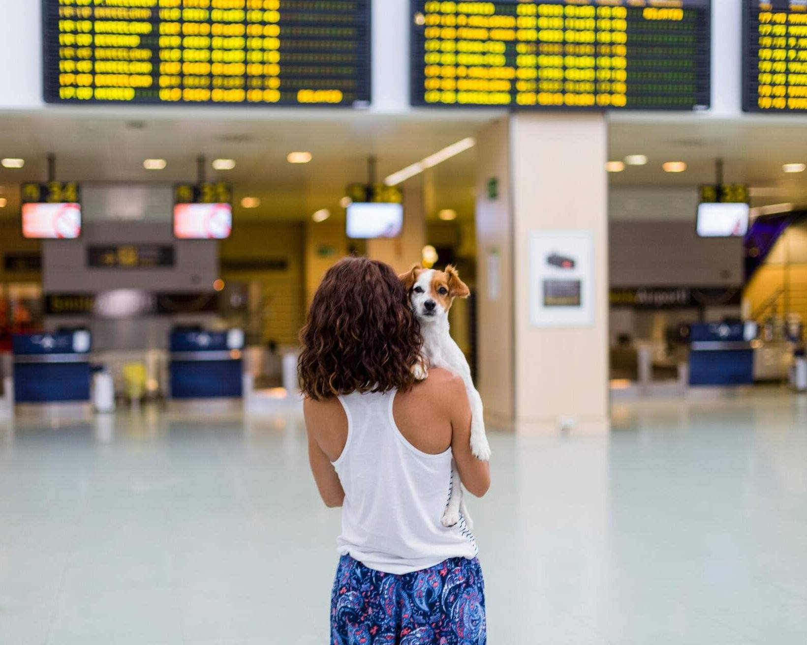 8 Tipps für Langstreckenflüge: So vergeht die Zeit wie im Flug | momondo