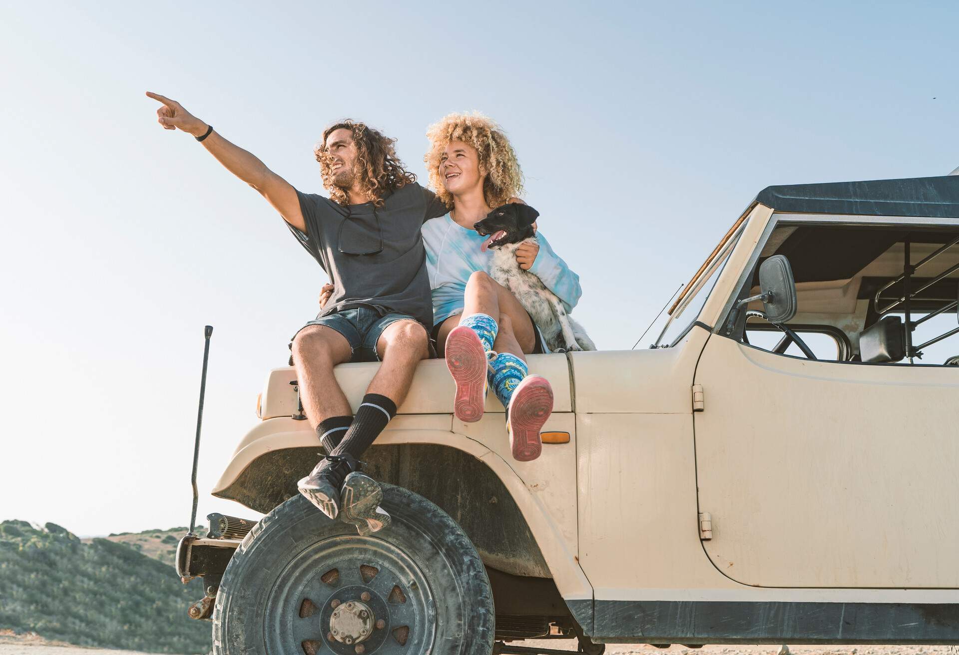 Alles, was du über Roadtrips mit Hund wissen musst | momondo