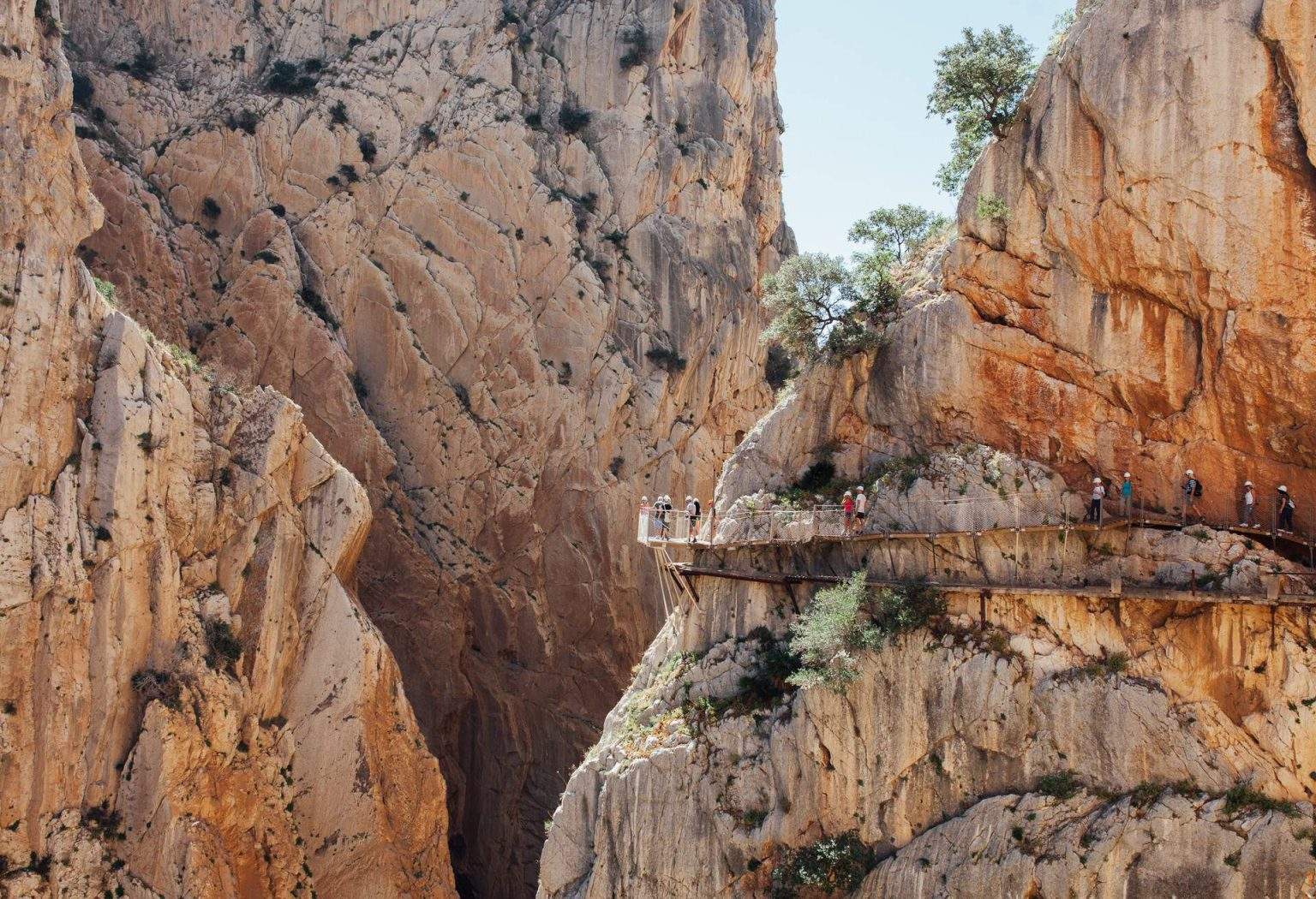 Das sind unsere Málaga-Geheimtipps | momondo