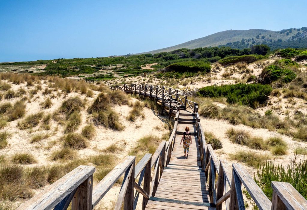 Naturparks auf Mallorca: entdecke die Wunder der Balearen | momondo