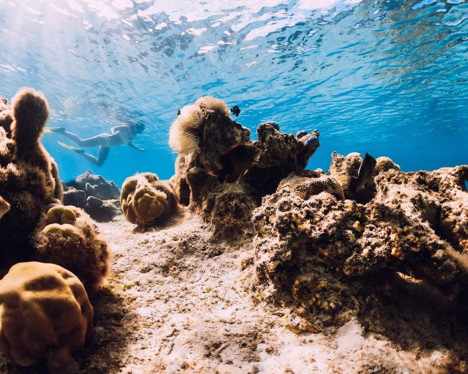 Die besten Spots zum Mauritius Schnorcheln | momondo