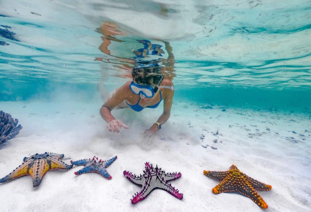 Die 15 besten Reiseziele für einen Schnorchelurlaub | momondo