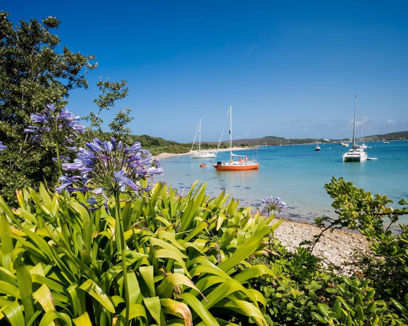 Entdecke die schönsten Strände in England | momondo